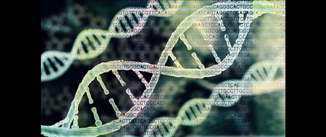 Record for decoding the longest DNA sequence is impressive here's what ...