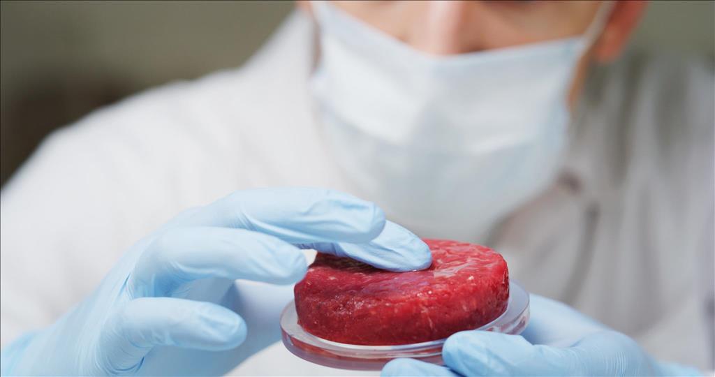 Cultured Meat Could Create More Problems Than It Solves 5456
