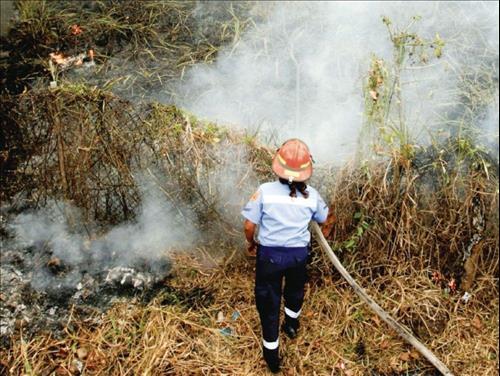 Panama prepares for forest fires in 'severe dry season'