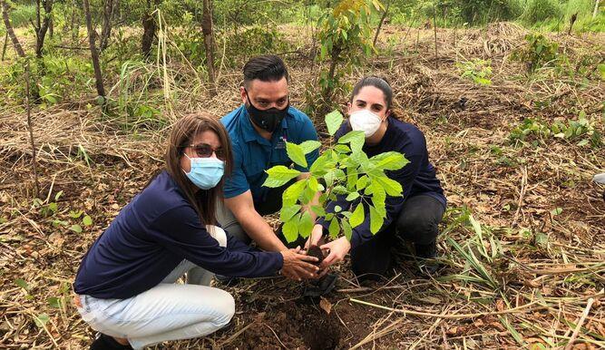 Panama- ENVIRONMENT: Beyond pandemic - reforestation advances