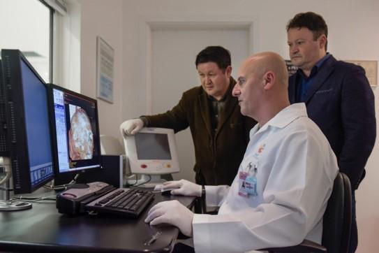 Brazilian original research reveals intact cells in mummy