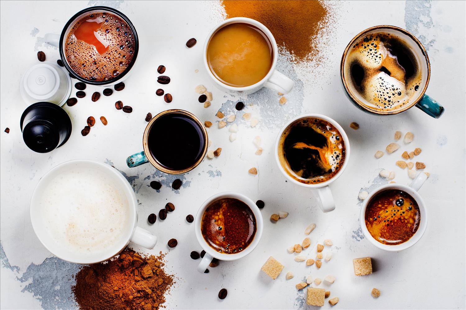 The biology of coffee, one of the world's most popular drinks