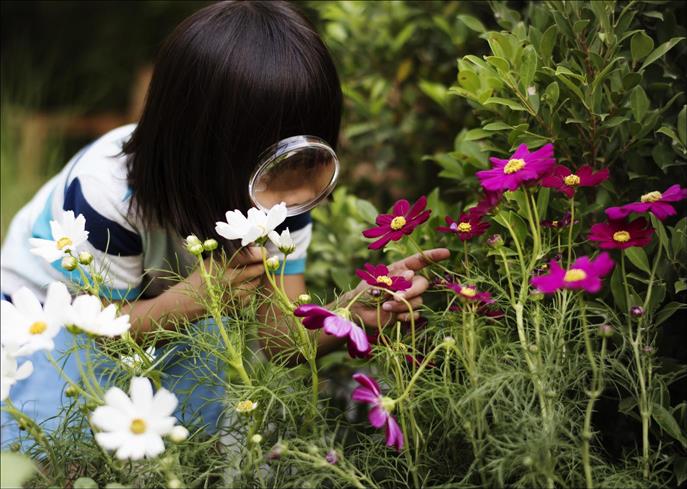 Nature detectives in the backyard: 3 science activities for curious ...