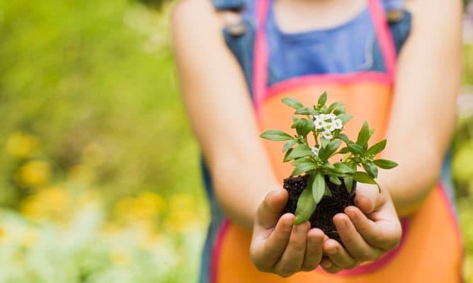 Let' s Improve Our Relationship With Nature!