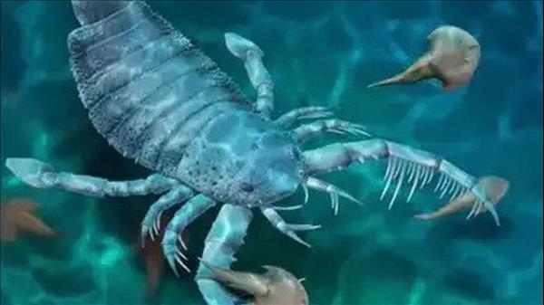 Fossil of dog-sized giant scorpion that lived 400 million years ago ...