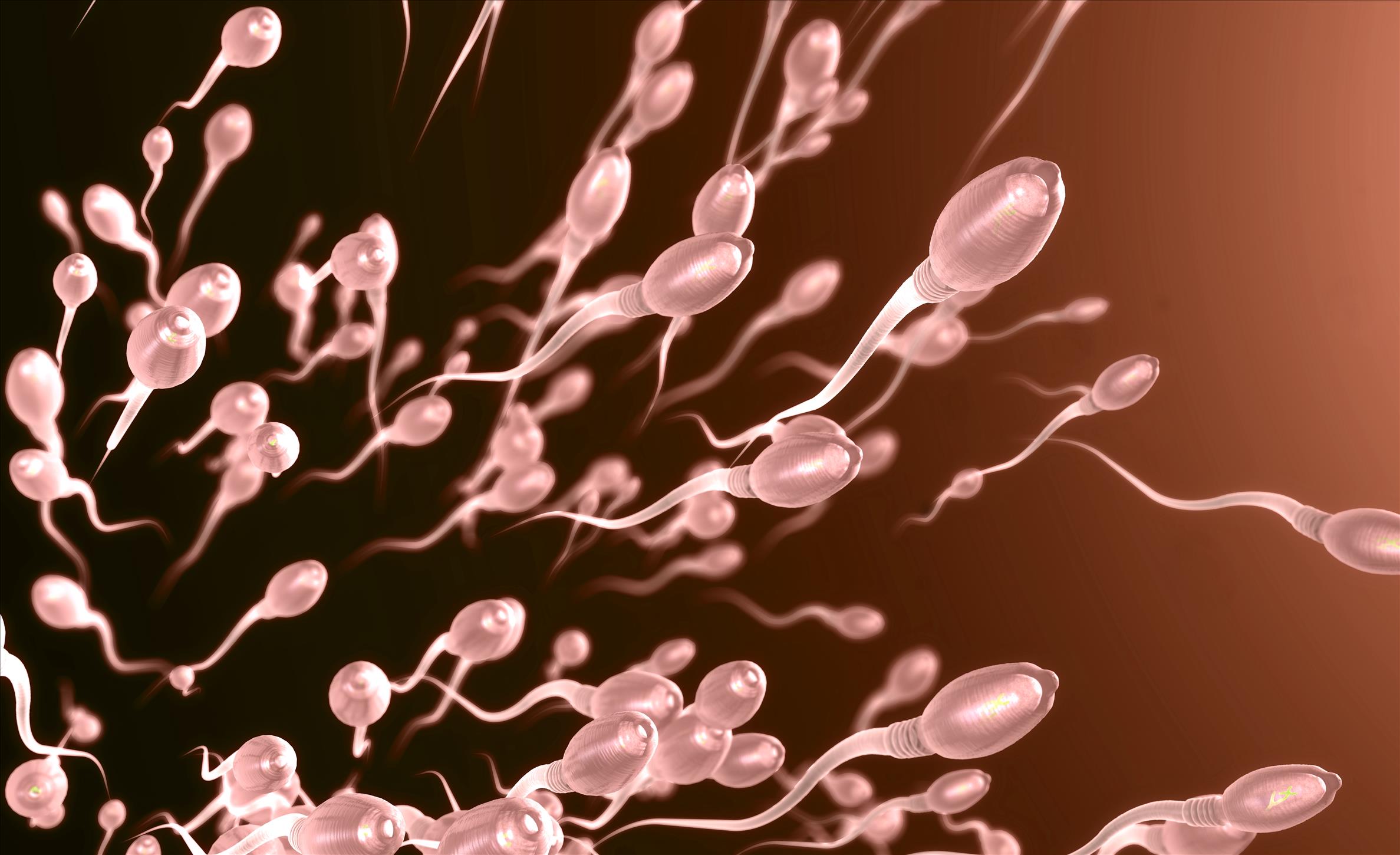 Great balls of fire: How heating up testicles with nanoparticles might ...