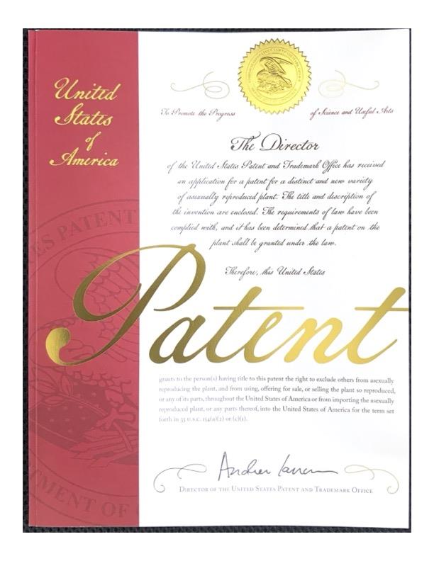 BOMI LLC Announces Issuance Of U.S.A. Patent for Kriya® Brand Hops Plant