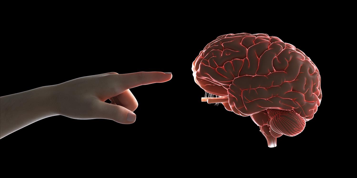 Restoring touch through electrodes implanted in the human brain will ...
