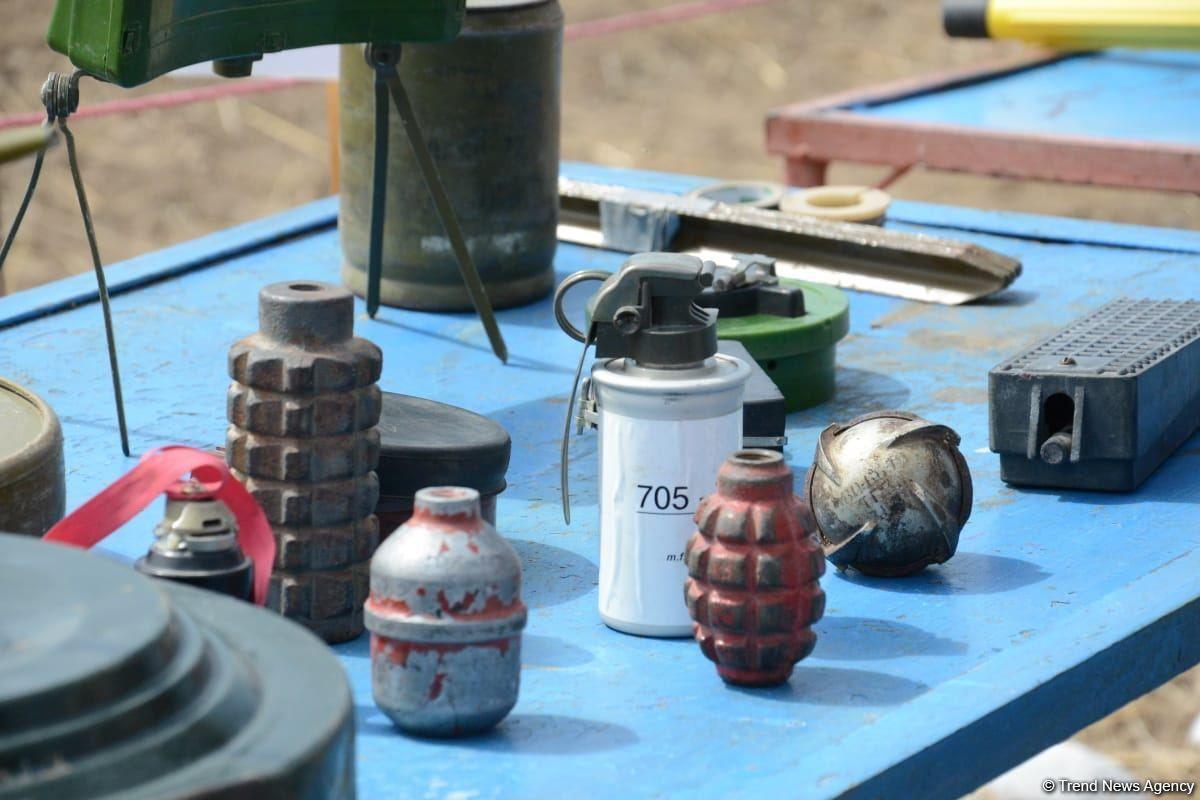 Foreign Travelers Assess Landmine Clearing Process