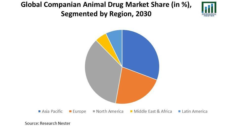 Companion Animal Drugs Market Report Based On SWOT Analysis With ...