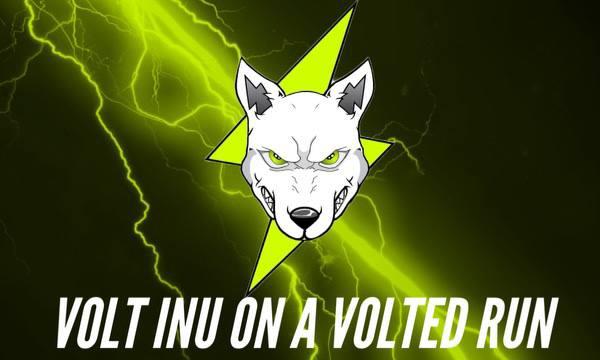 Voltichange Ready To Enhance The Volt Inu Universe - ZEX PR WIRE