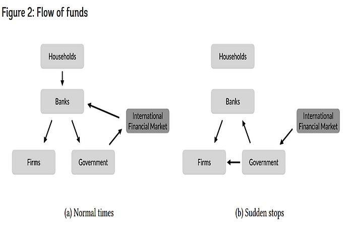 Sterilized Asset Purchase Program, A New Policy Tool To Combat Sudden Stops