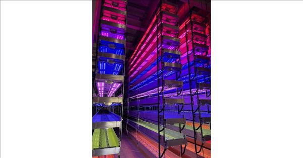 Advanced Vertical Farming Tech Developer Vertical Future Expands To ...