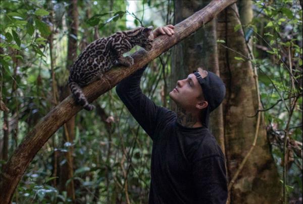In 'Wildcat', Amazon Fauna Helps Heal Emotional Wounds Of War