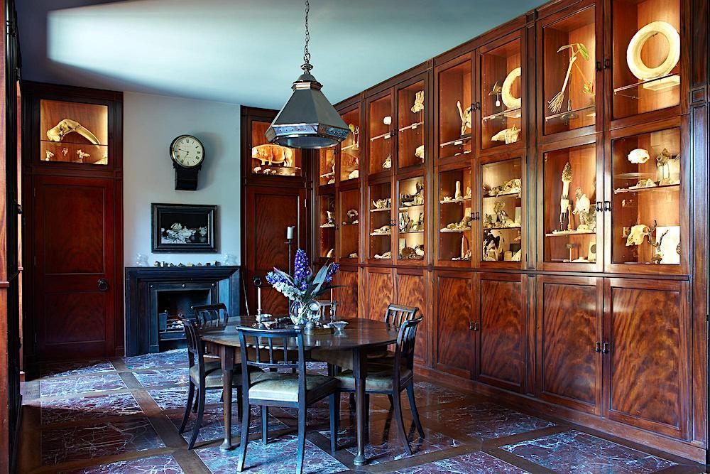 A Curios Collector's Incredible Finds, From Prehistoric Fossils To ...