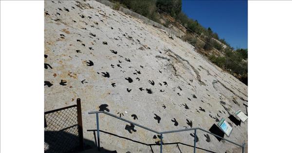 America's National Natural Landmarks Program Keeps Going, Growing And ...