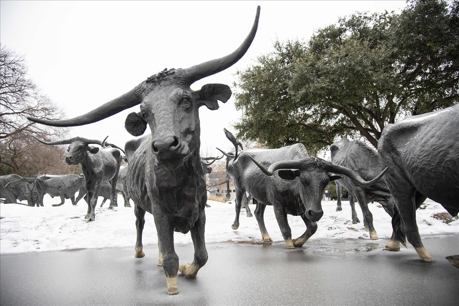 Two Years After Its Historic Deep Freeze, Texas Is Increasingly ...