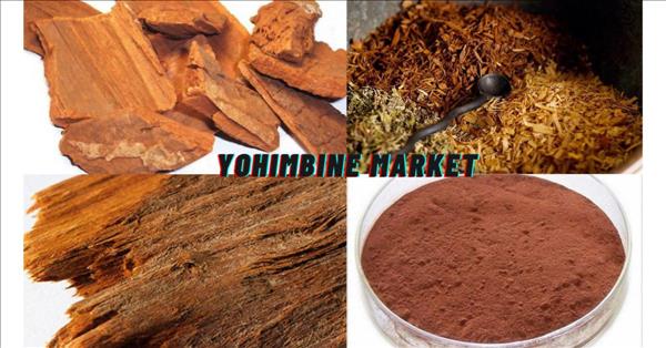 What Is Yohimbine? Know 10 Interesting Health Benefits
