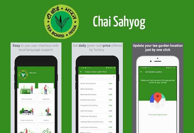 Tea Board Developing Mobile App For Small Growers To Access Better ...