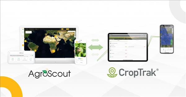 Agroscout Technology Revolutionizes Potato Farming In The USA