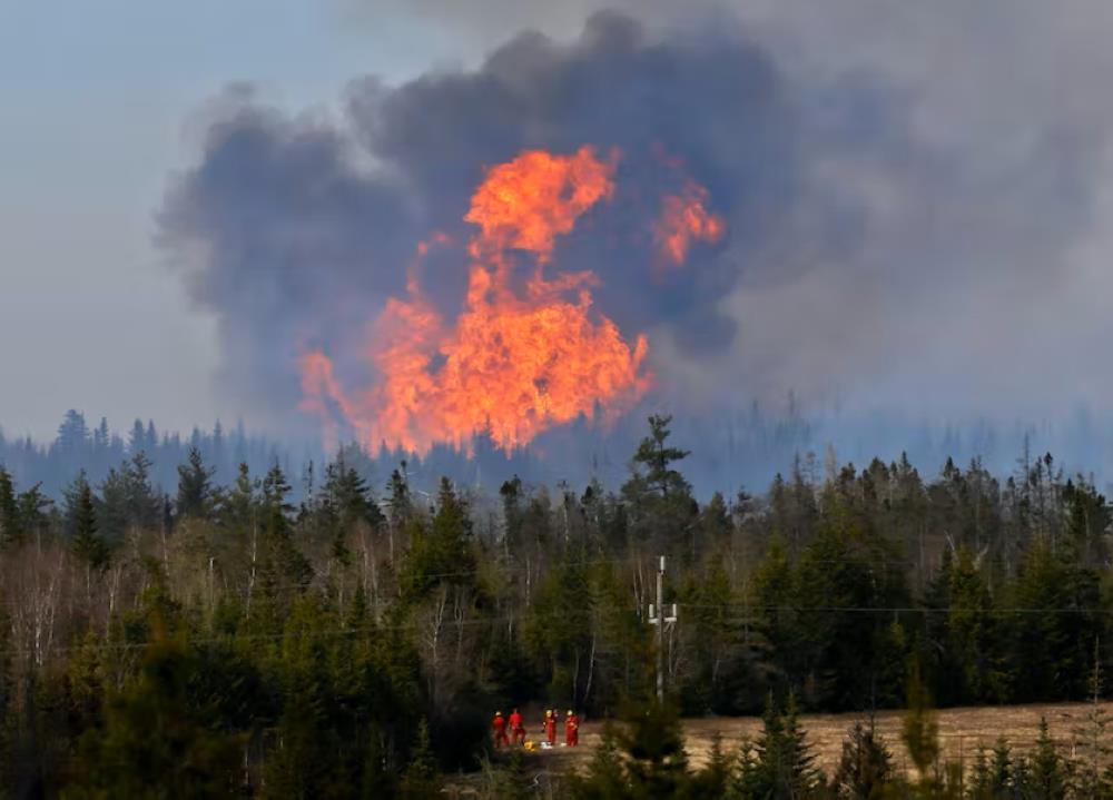 South Korea Firefighting Forces Put Out Large Forest Fire After 20 Hours