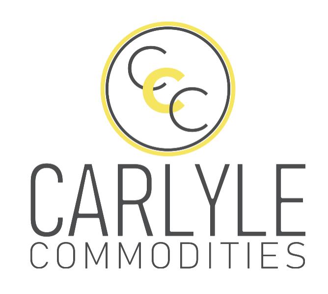 Junior Gold Explorer Carlyle Commodities Is A Strong Contender In The ...