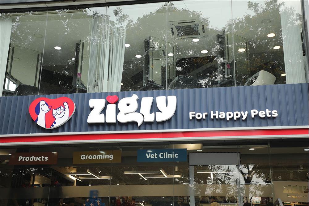 Zigly Expands Its National Footprint And Unveils First Experience ...