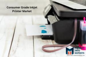 Consumer Grade Inkjet Printer Industry Current Trends And Challenges ...