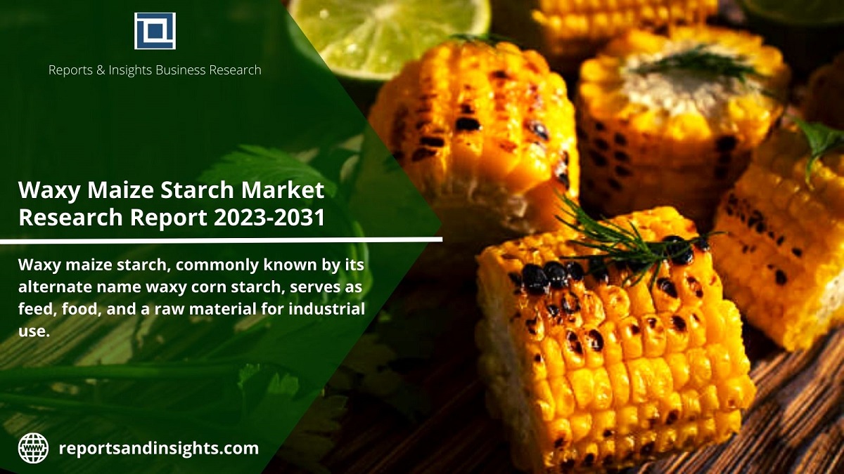Waxy Maize Starch: Unlocking the Potential of the Global Market The ...