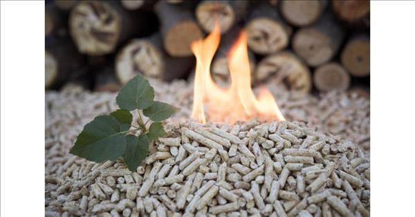 Biomass Solid Fuel Market Share, Growth Prospects 2022 Revenue, Global ...