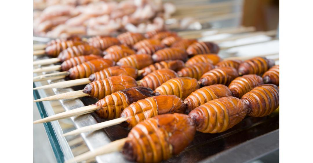 Edible Insect Market Is Touching New Levels A Comprehensive Study ...