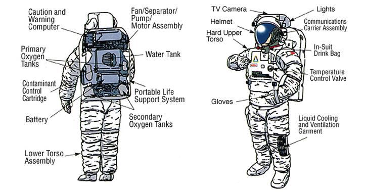Beyond The Earth's Atmosphere : The Vital Role Of The Astronaut ...