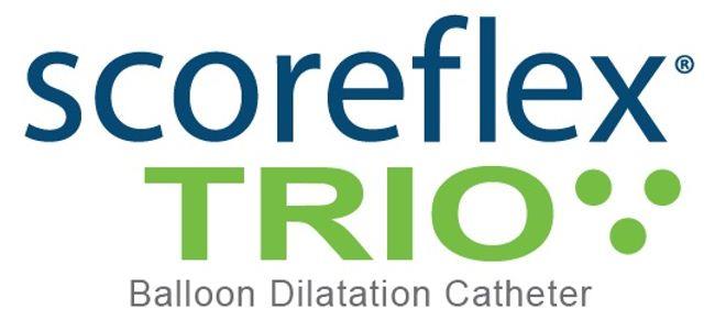 Orbusneich Kicks Off Clinical Study Of Scoreflex TRIO, Completing China ...