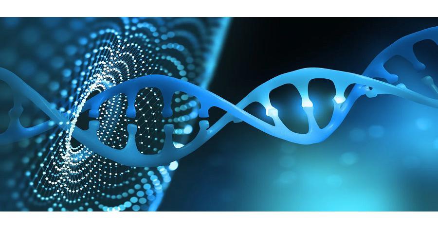 The Future Of Genomics Market: Revolutionizing Healthcare Sector ...