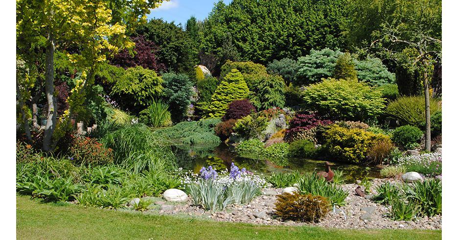 Plant Lovers, Leading Experts, And Rare Plant Auction Converge In North ...