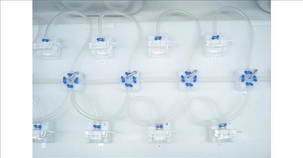 Single Use Assemblies Market Is Set To Fly High In Years To Come Sartorius Stedim Biotech