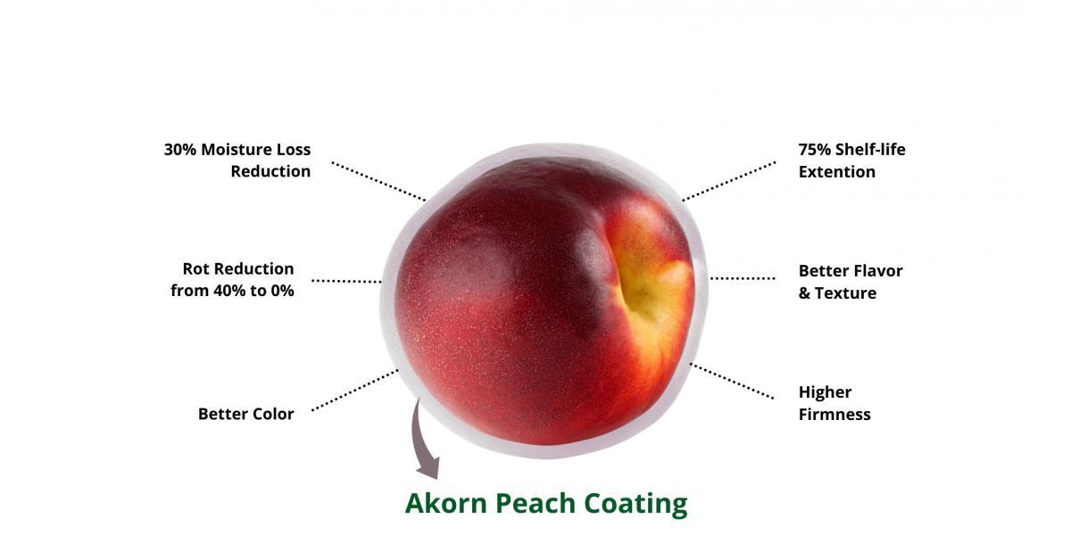 Akorn Technology Announces Partnership With Cutri Fruit To Enhance ...