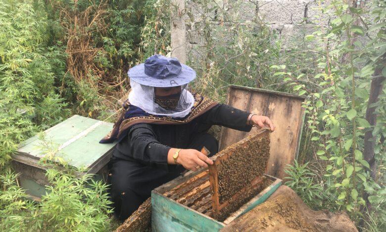 Trailblazing Beekeeper Nasreen Khan Faces Devastation As Floods Ravage ...