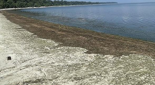 Chuka Beach Now A Favoured Tourist Destination In UP