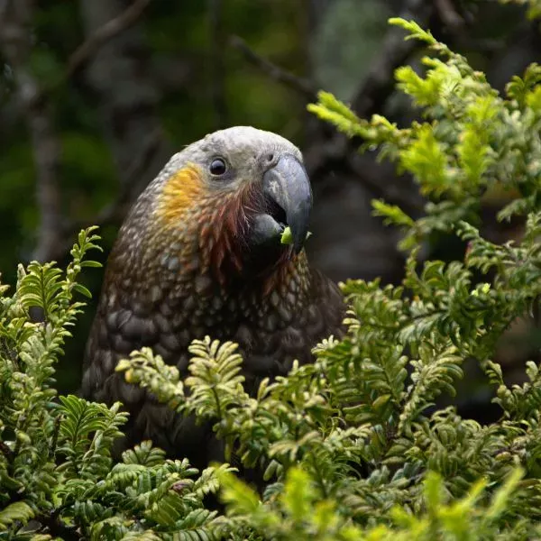 Unleashing Nature's Potential Through Science-Based Targets For Nature