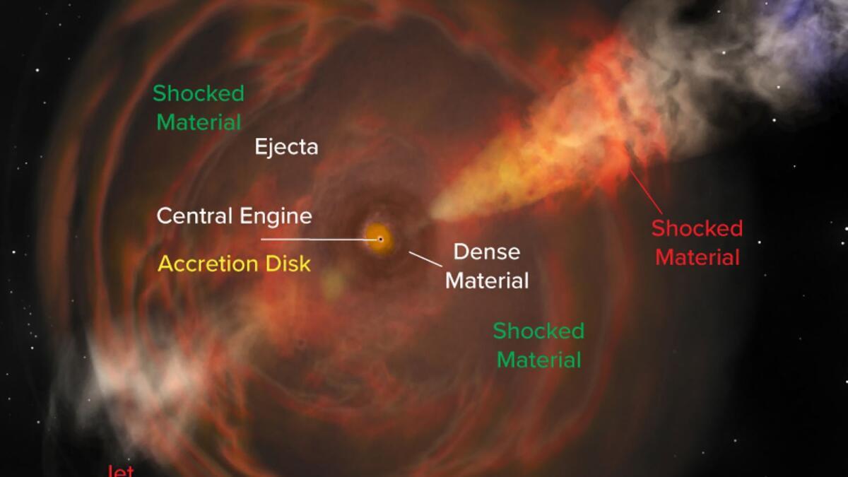 A Cow, A Camel And A Finch Exploded In Space. What Is Going On?