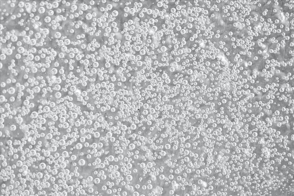 The Bubbly Chemistry Behind Carbonated Beverages