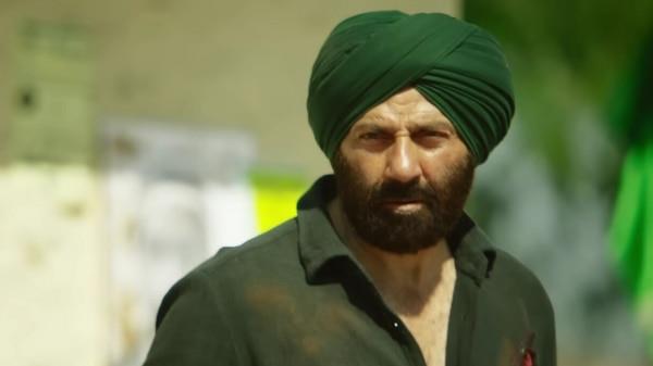 'Gadar 2': Sunny Deol-Ameesha Patel's Movie Emerges As Box Office Sensation Check 5-Day Collections