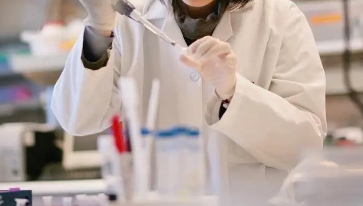 Israeli Scientists Create Complete Human-Like Embryo Models From Stem Cells