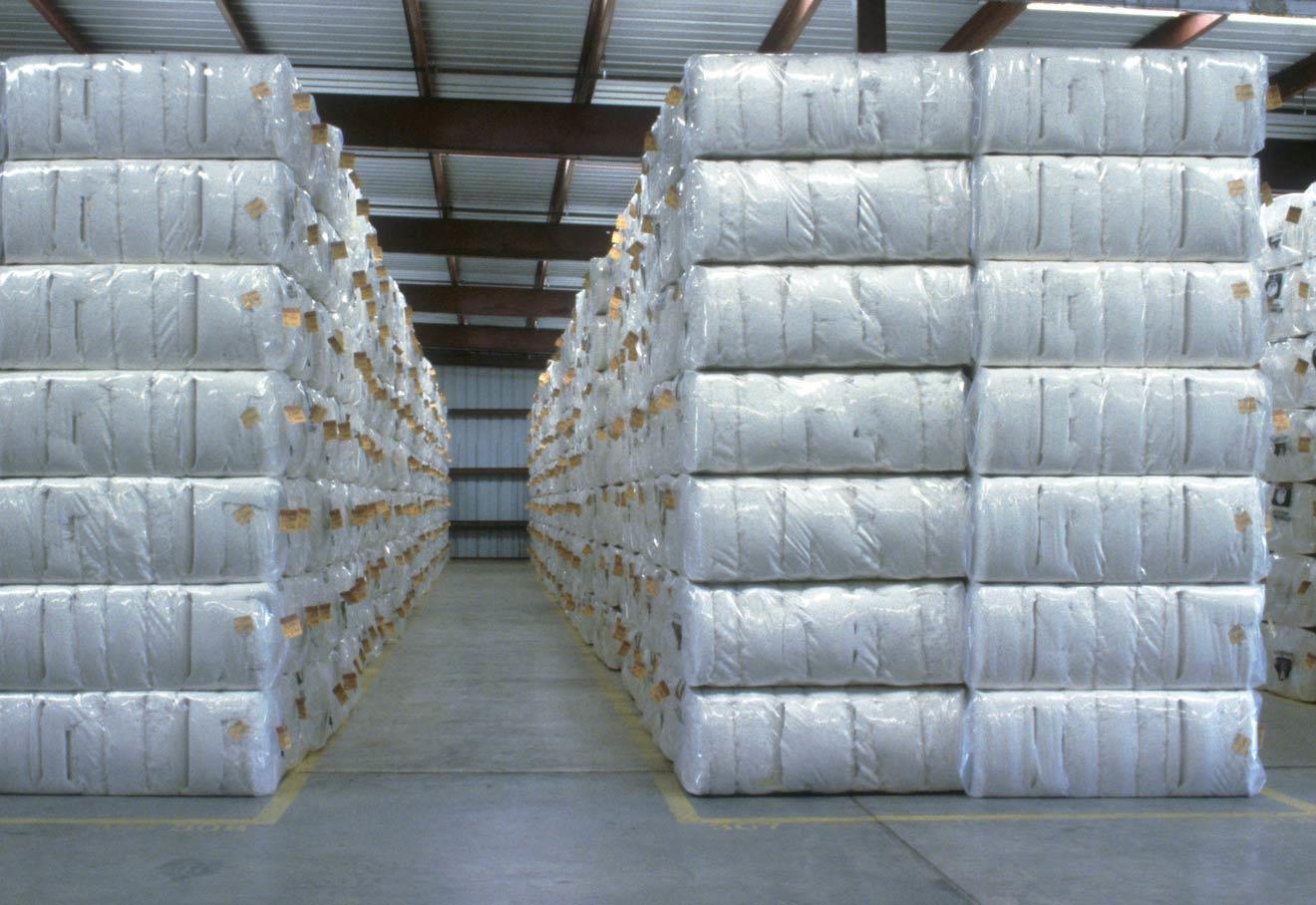 CAI Projects Cotton Estimate For FY23 At 318.90 Lakh Bales