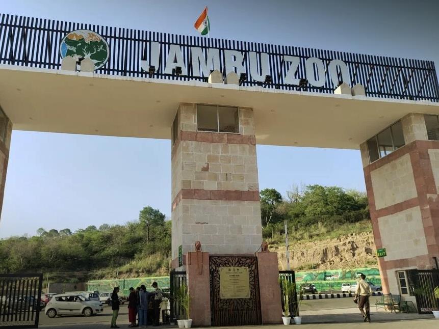 Jambu Zoo In Jammu Roars To Life With Arrival Of Lions, Tigers
