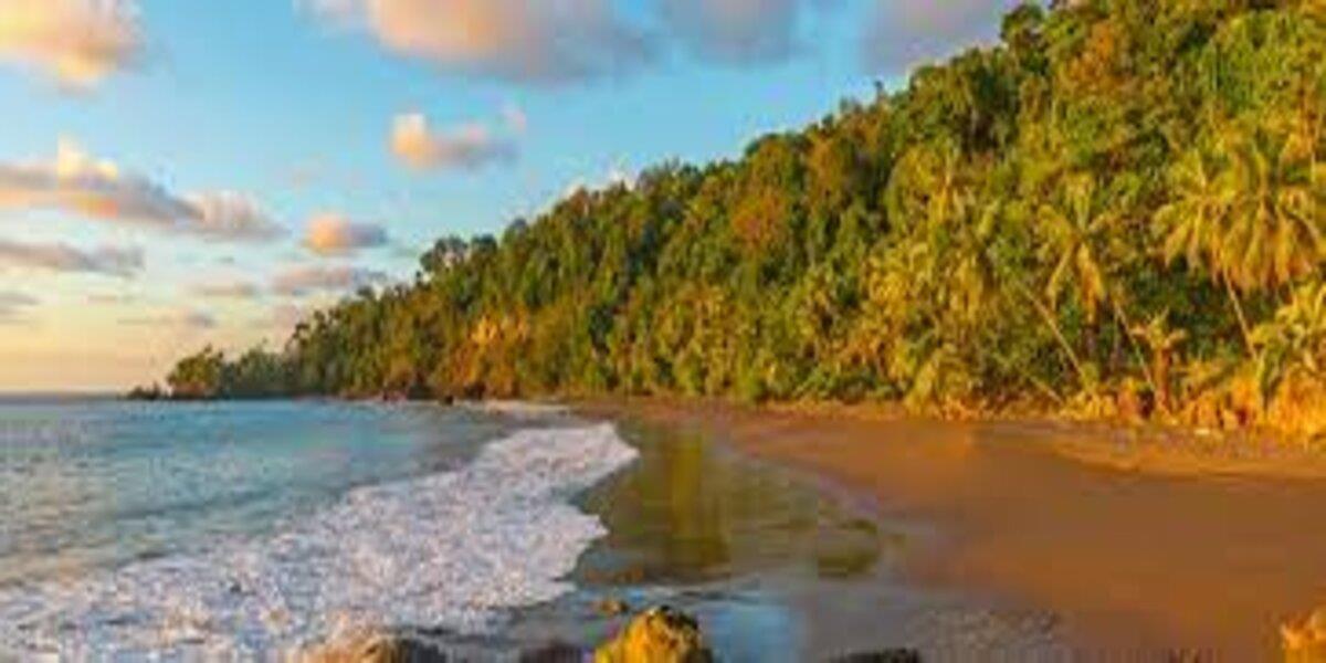 The Bright Example Of Costa Rica In Conservation