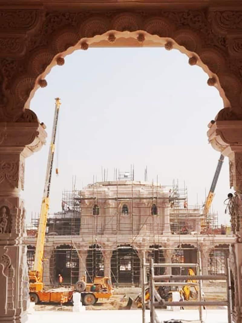 100 Murals To 350 Pillars: Amazing Trivia About Ayodhya Ram Mandir