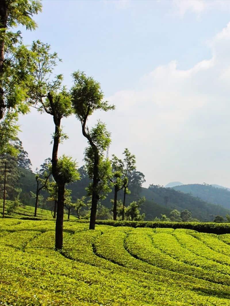 Jaipur To Goa: 7 Top Places To Visit In India This January