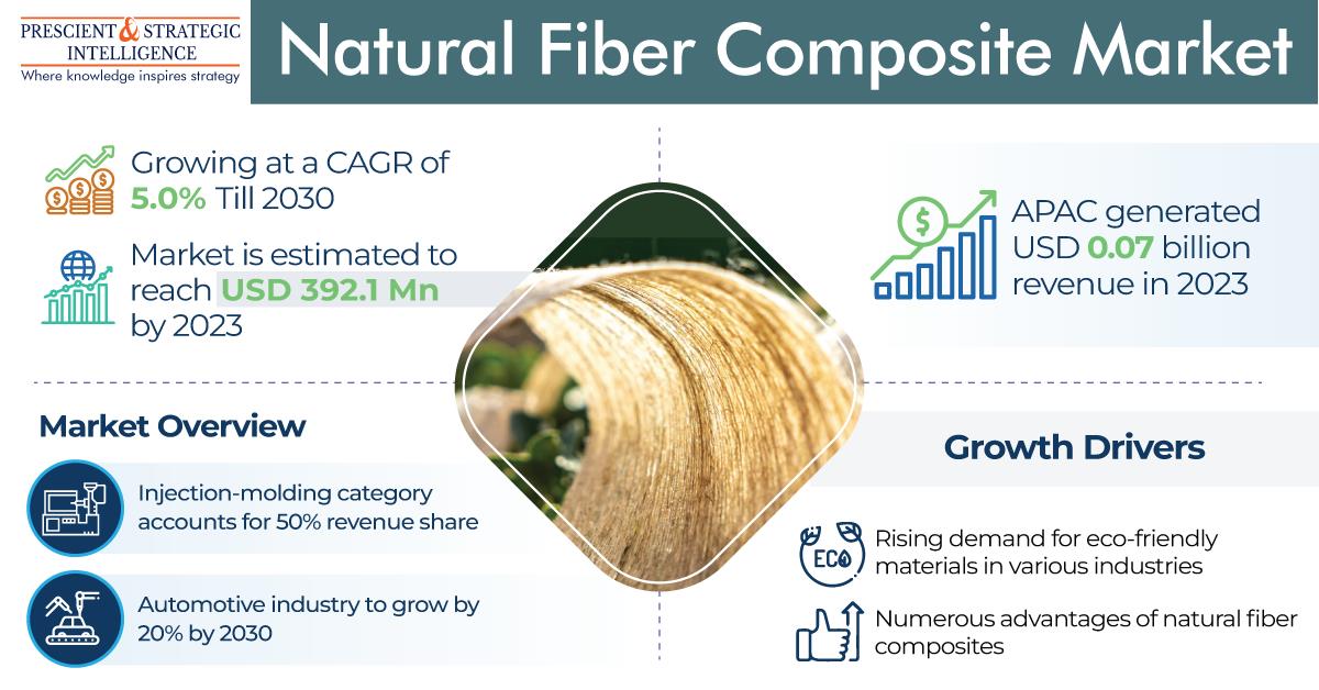 Natural Fiber Composite Market Will Touch USD 46.3 Million in 2030